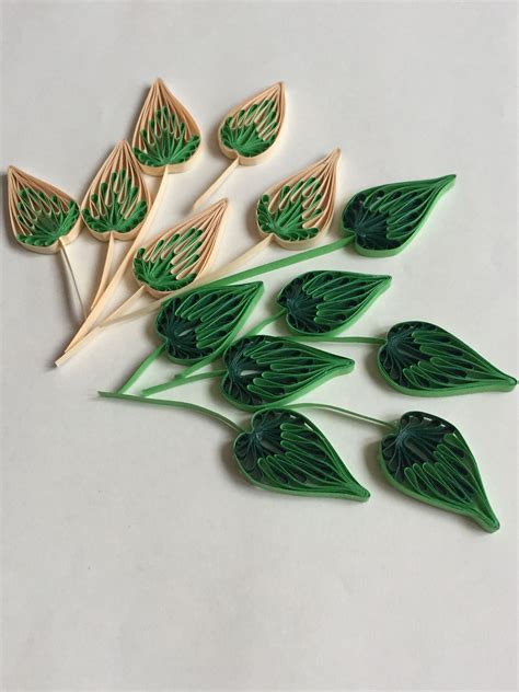 Quilling Leaf Tutorial At Cynthia Jasmin Blog