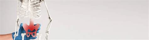 Osteitis Pubis Causes Symptoms Diagnosis And Treatment