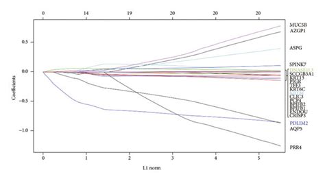 Lasso Cox Regression Model Construction A λ Selection By 10 Fold