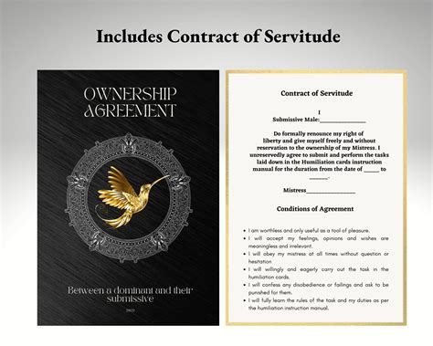 Sissy Humiliation Tasks Submissive Male Sex Game Instant Download Etsy