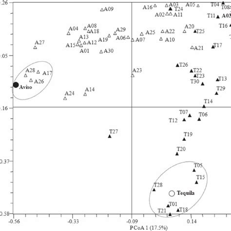 Dendrogram Showing Genetic Similarity For A Set Of 30 Brassica Napus Download Scientific