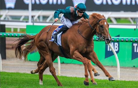 Joyful Fortune Back In The Game Breednet