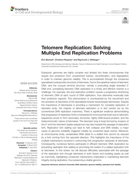 Pdf Telomere Replication Solving Multiple End Replication Problems