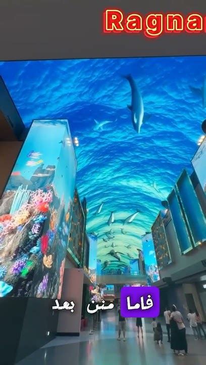 المن والسلوى Youtube