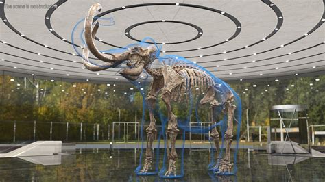 Adult Mammoth Old Skeleton Shell Rigged For Cinema 4d 3d Model 199
