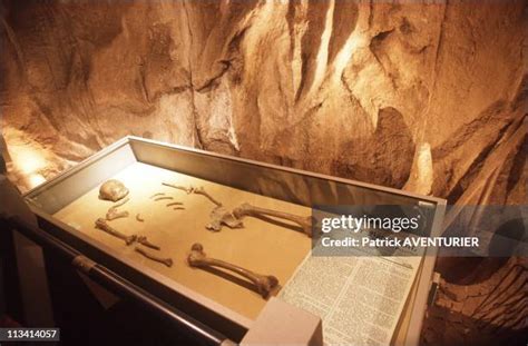 Neanderthal Bone Photos And Premium High Res Pictures Getty Images
