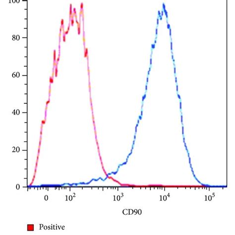 Characterization Of Human Endometrial Stem Cells Via Fluorescent Download Scientific Diagram