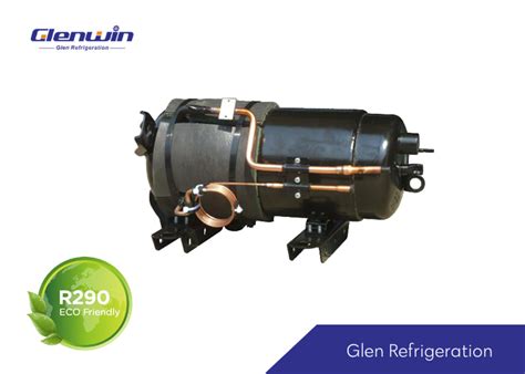R290 Compressor Propane Compressor Sanyo Refrigeration Compressor