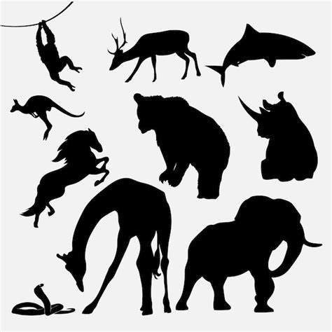 Premium Vector Animals Vector Png Premium Vector Animals Vector Png