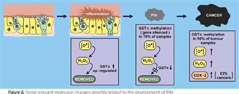 Figure 6 From The Enigma Of Prostatitis Some Historical Perspectives