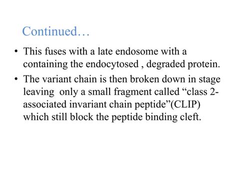 Antigen Processing And Presentation Ppt