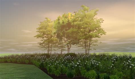 Renderworks Backgrounds