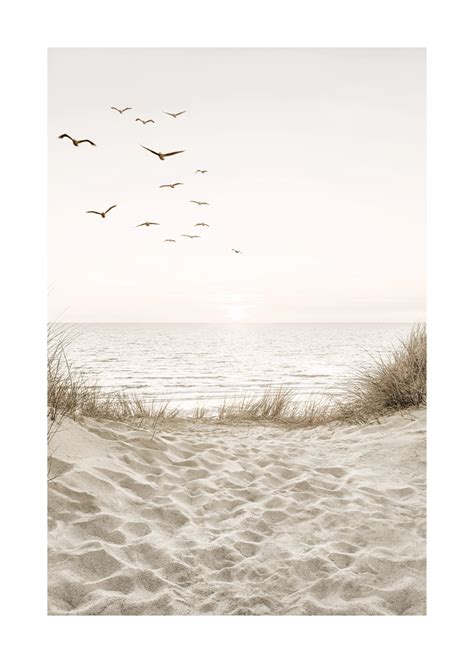 Soft Beige Poster Pack Beige Nature Poster Poster Store Eu
