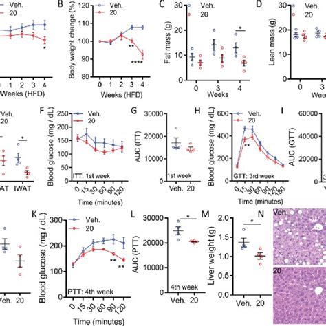 Treatment Of Dio Mice With 20 Reduced Body Fat And Restored Insulin Download Scientific Diagram