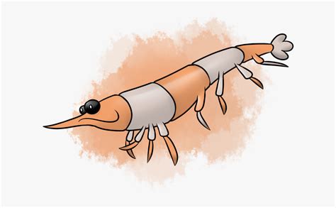 Planet 1 Krill Reverse Image Search Animals Of The World Hd Images