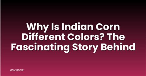 Why Is Indian Corn Different Colors The Fascinating Story Behind Wordscr
