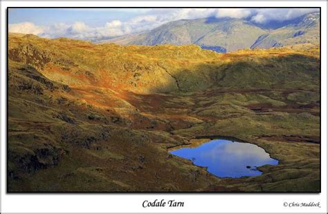 Codale Tarn
