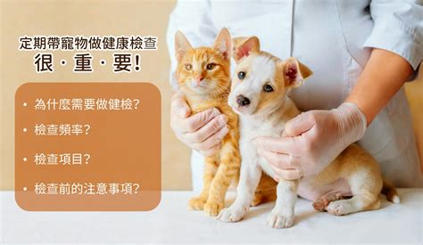 我們的1年等於貓狗的7年，所以定期帶寵物做健康檢查很重要！ 沐愛動物醫院 林家佑院長 法國皇家