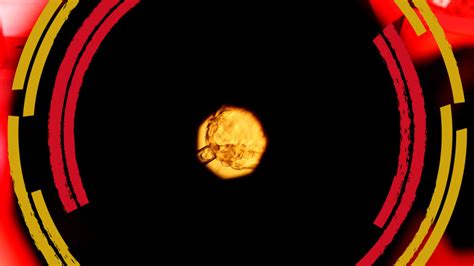 Stem Cells Ivf And The Future Of Human Reproduction