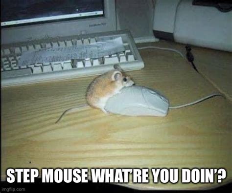 Awkward Mouse Memes