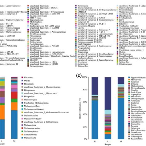 Composition Of Bacteria A Archaea B And Fungi C At The Genus