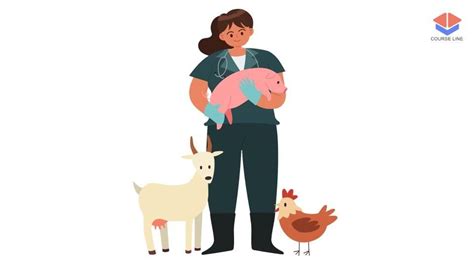 Veterinary Assistants Course Line