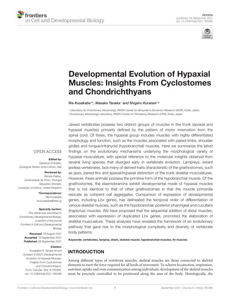 Pdf Developmental Evolution Of Hypaxial Muscles Insights From