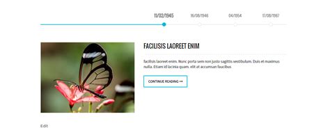 Timeline Slider Documentation