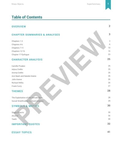 Sharp Objects Literature Guide By Supersummary Tpt