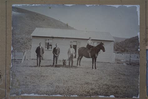 William Cottrells Chairs A Gallery From Afternoons Rnz National