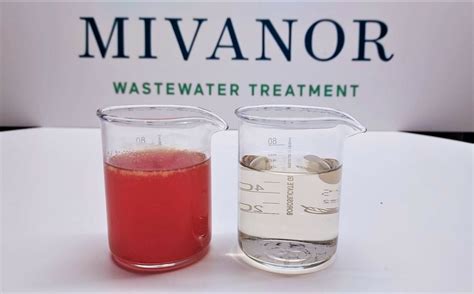Video Promising Cleaning For Salmon Processing Mivanor