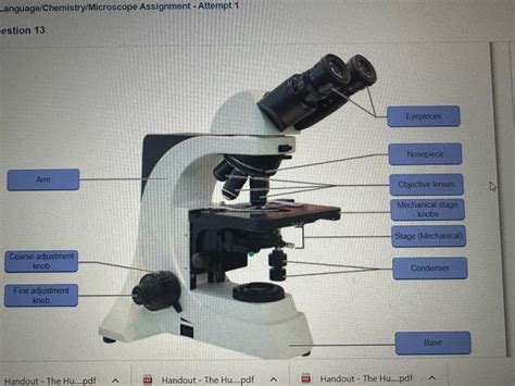 Solved What Did I Label Wrong Please Help And Thanks In