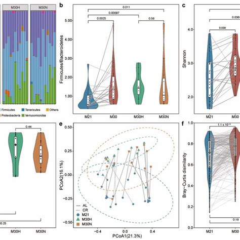 Impact Of Aging On Gut Microbial Communities A Relative Abundance Of