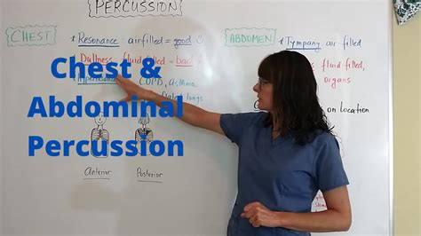 Lung Percussion Sounds Sheryplayer