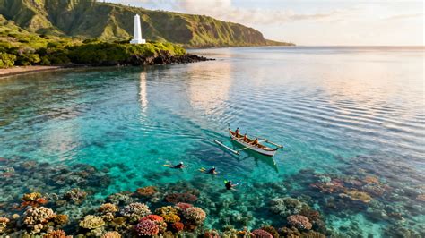 Your Guide To The Best Kealakekua Bay Tours