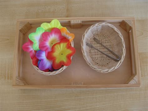 Counting Coconuts Rainbow Activities Part Ii