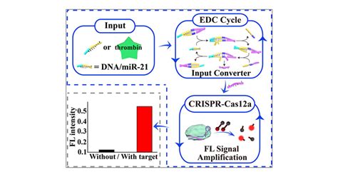 Versatile Crispr Cas12a Based Biosensing Platform Modulated With