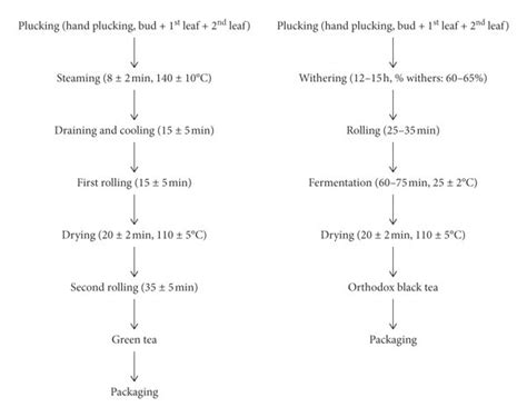 Tea Manufacturing Process Flow Chart