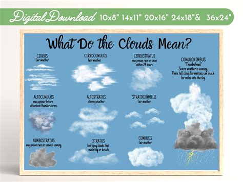 Cloud Types Science Id Poster Weather Prediction Meteorology Stem
