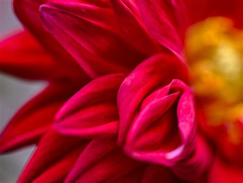 Maria Sciandra Flickr