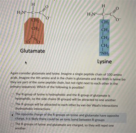 [solved] Answer This Question H H H N C H N C Ch2 Ch Ch2 Ch2 Ch2