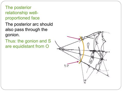 Sassounis Analysis Pptx