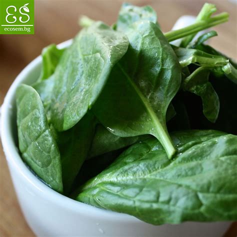 Бисквити със спанак Ecosembg