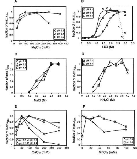 Figure 1 From The Ionic Environment Determines Ribozyme Cleavage Rate