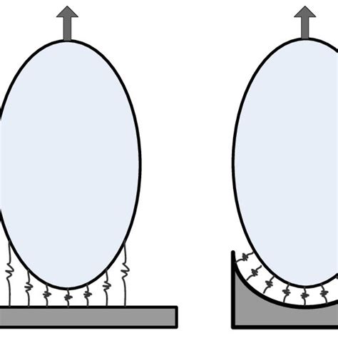 A A Vesicle Adhered To A Flat Substrate And Subjected To An External