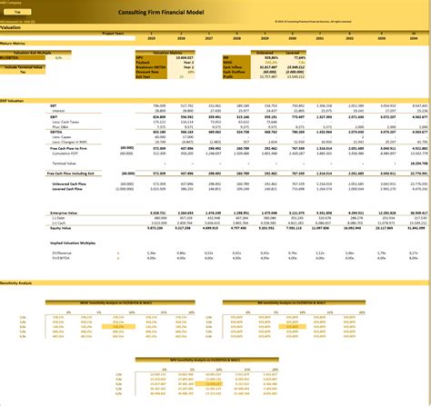 Consulting Firm 10 Year Financial Model Eloquens