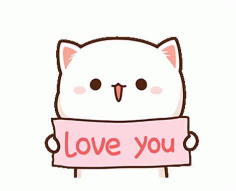 Love Ilu  Love Ilu Cat Discover And Share S Chibi Cat Cute