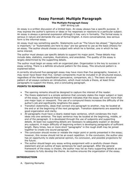 Essay Writing Multiple Paragraph Guide