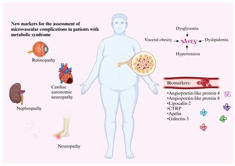 New Markers For The Assessment Of Microvascular Complications In