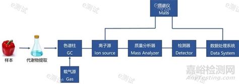 代谢物检测的各种方法检测资讯嘉峪检测网